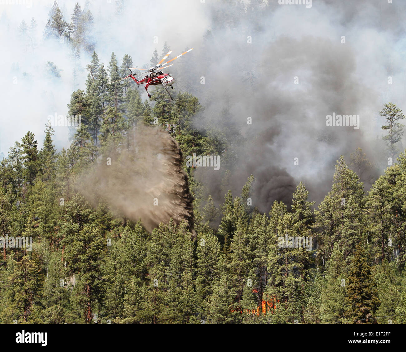 A historical image of the aftermath of the Wallow Fire in 2011, taken ...