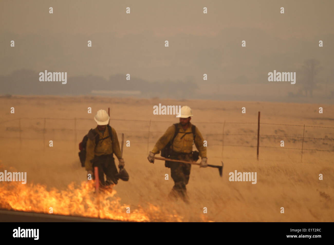 A photograph from the Apache Sitgreaves National Forest in Arizona ...