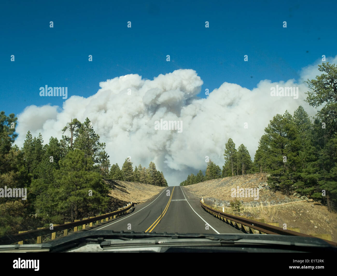 The image captures the aftermath of the Wallow Fire in the Apache ...