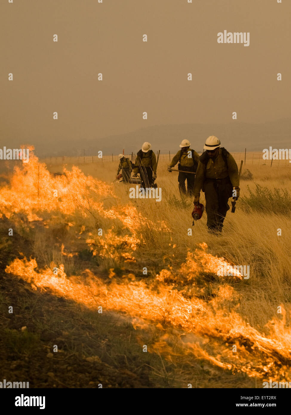 This photo captures the aftermath of the Wallow Fire in the Apache ...
