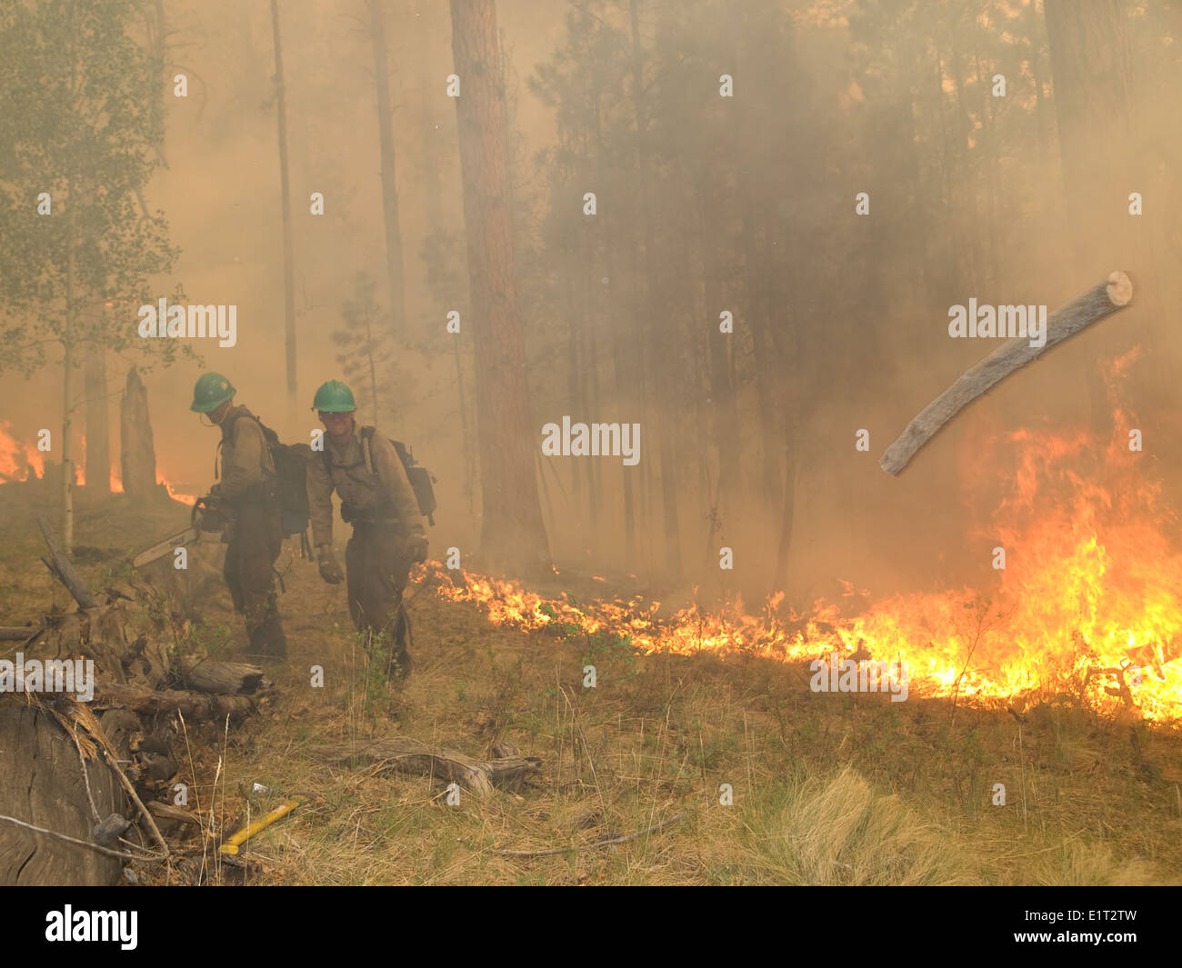 This image from 2011 shows the aftermath of the Wallow Fire in the ...