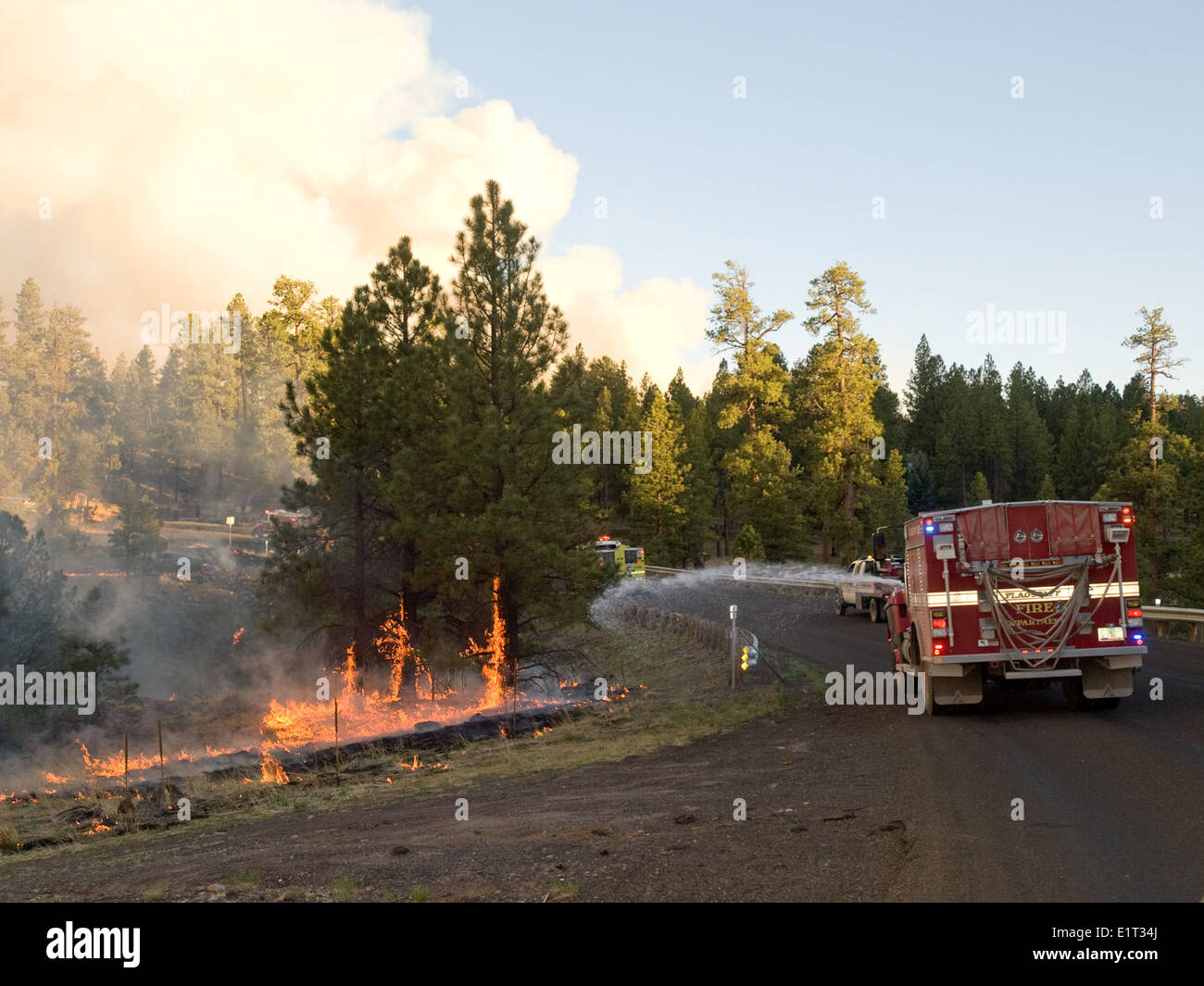 A photo from 2011 showing the aftermath of the Wallow Fire in the ...