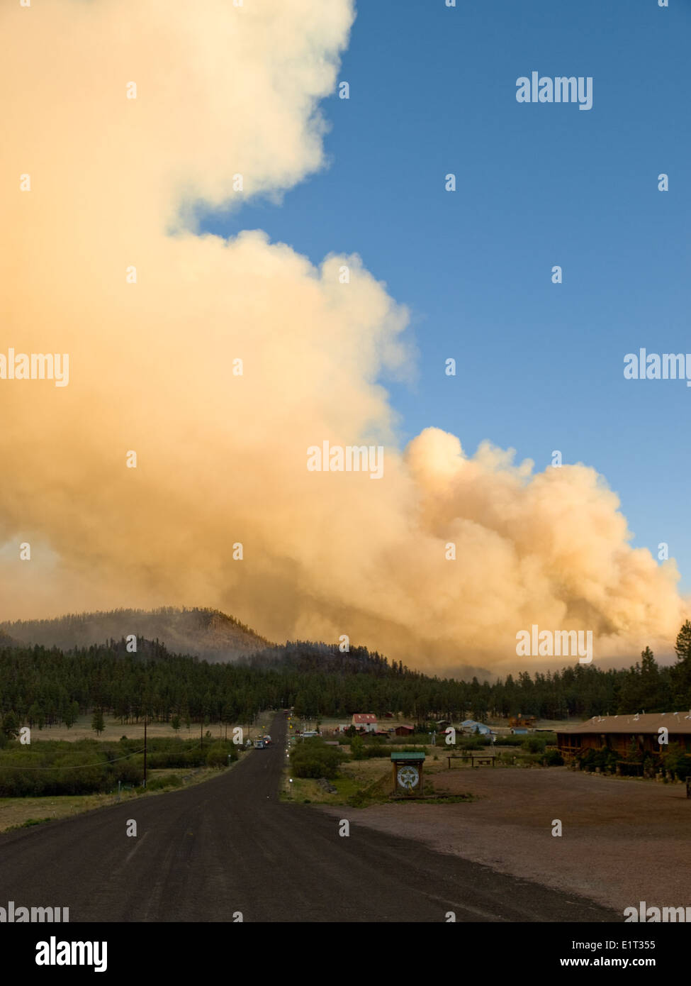 This photo from the Apache-Sitgreaves National Forest in 2011 ...
