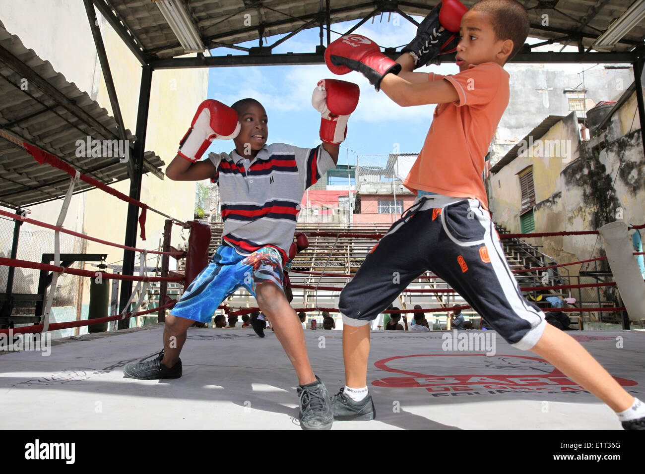 Children in a boxing school in Havana, Cuba Stock Photo - Alamy