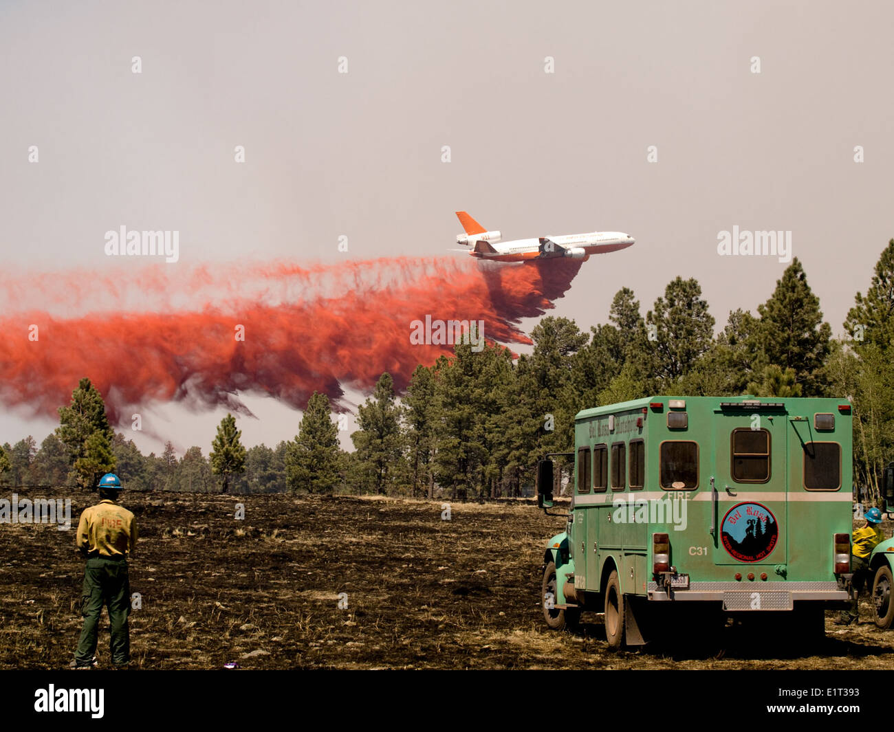 The Wallow Fire in 2011 devastated parts of Apache-Sitgreaves National ...