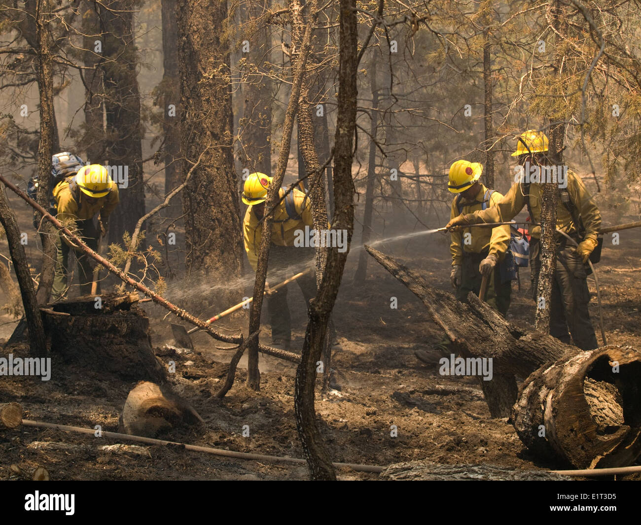 The construction of the new Sioux Ranger District Office in Camp Crook ...