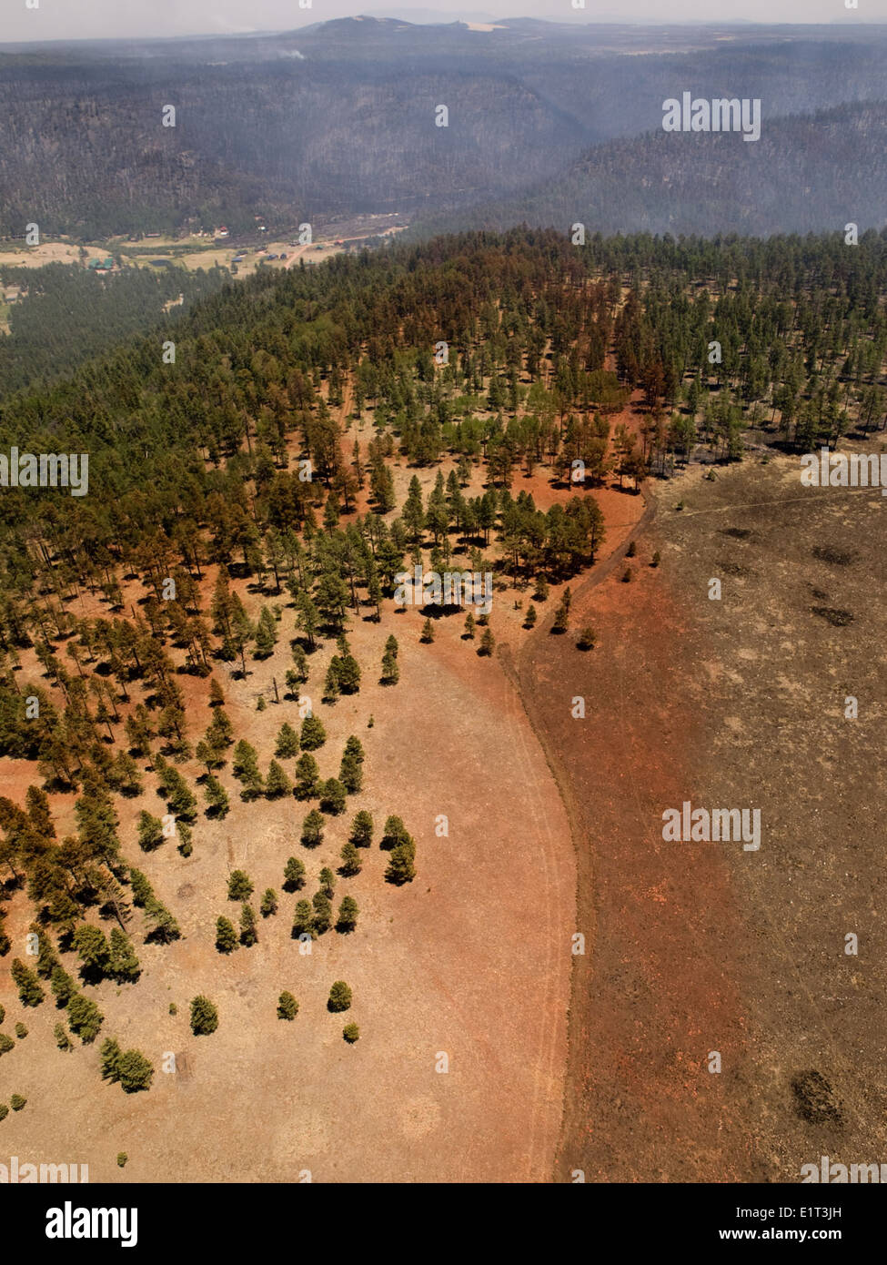Image captures forest fire hi-res stock photography and images - Alamy