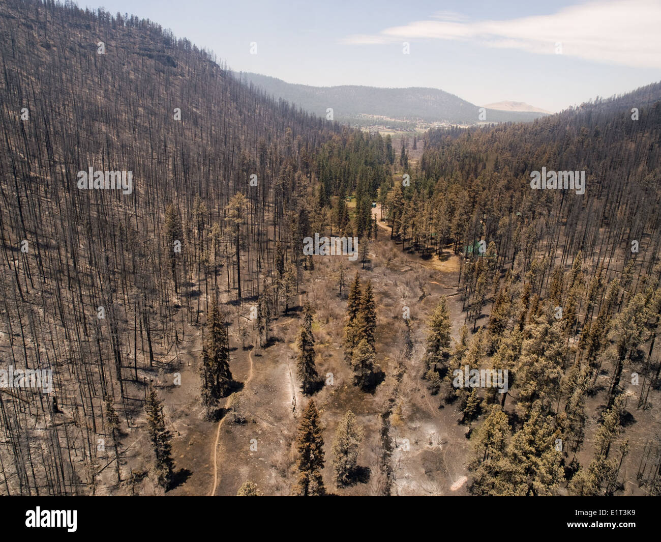 The Wallow Fire, one of Arizona's most destructive wildfires, impacted ...