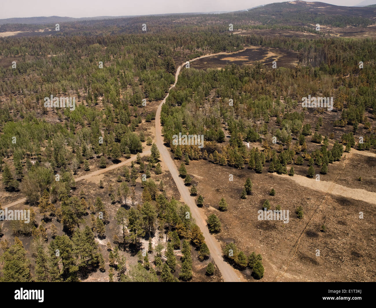 A photo taken during the 2011 Wallow Fire in the Apache-Sitgreaves ...