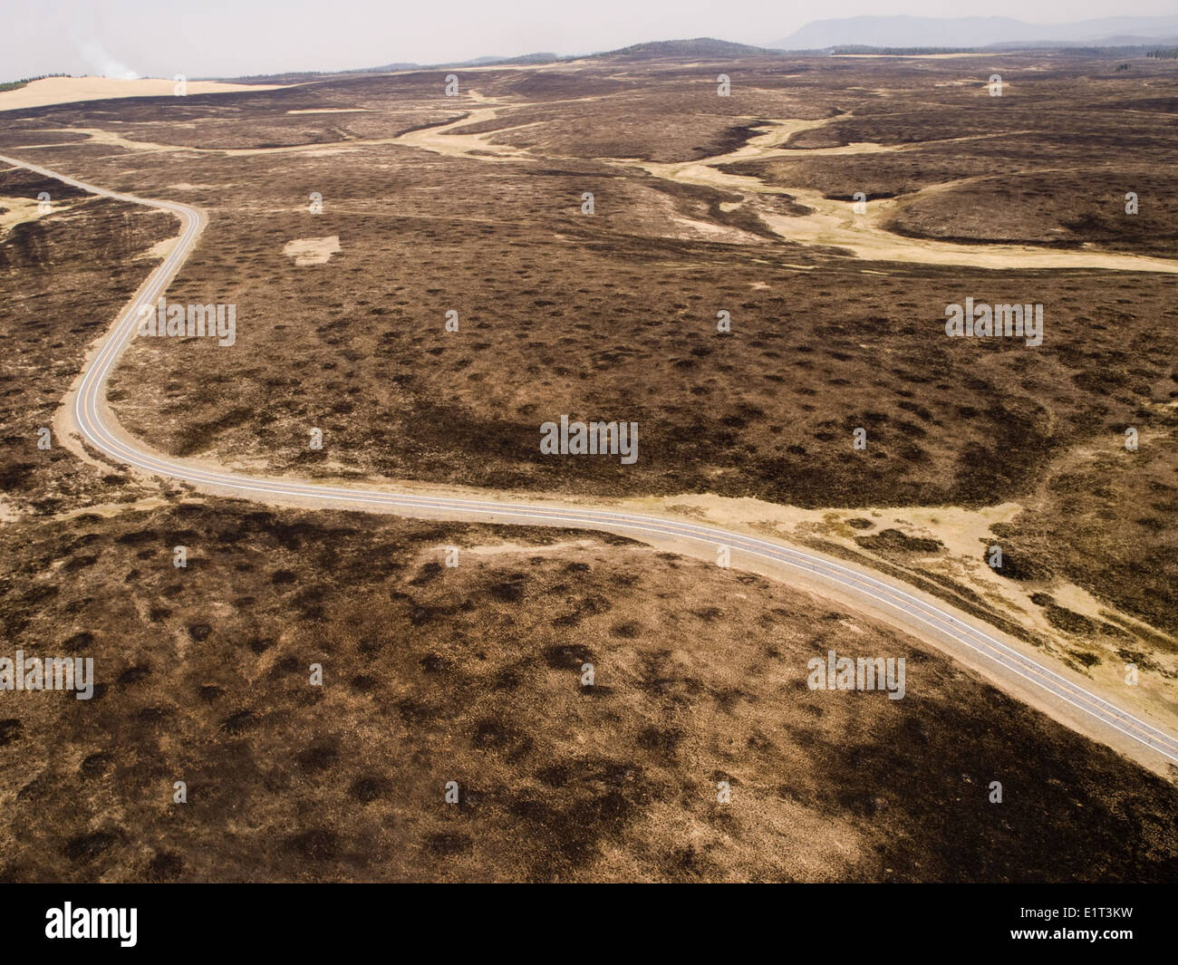 A photo capturing the aftermath of the Wallow Fire in the Apache ...