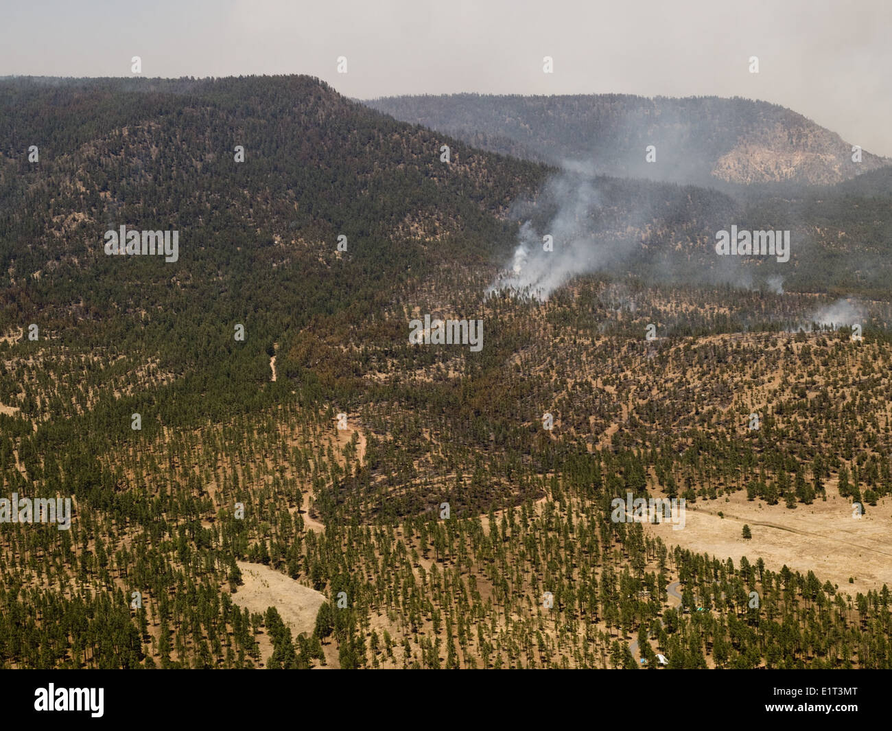 The Wallow Fire in 2011 significantly impacted the Apache-Sitgreaves ...