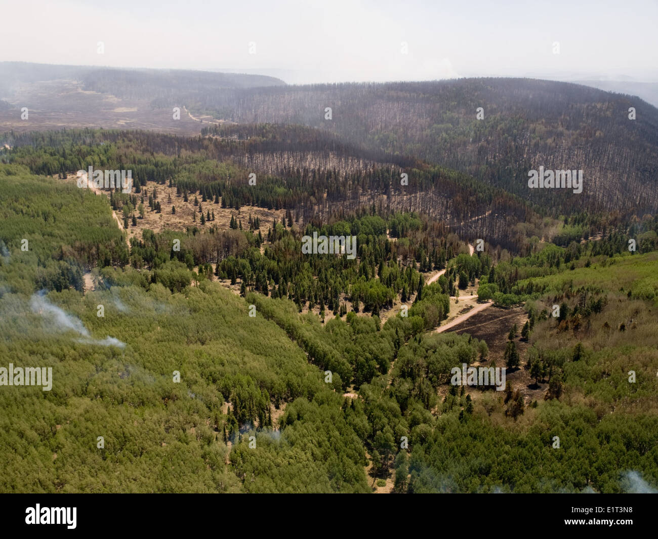 The Wallow Fire, which occurred in 2011 in the Apache-Sitgreaves ...