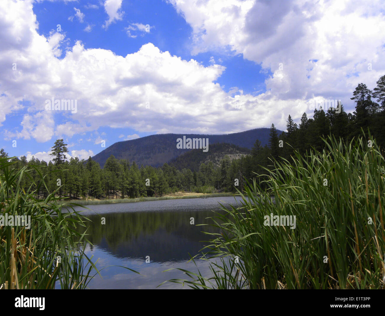 Hulsey High Resolution Stock Photography and Images - Alamy