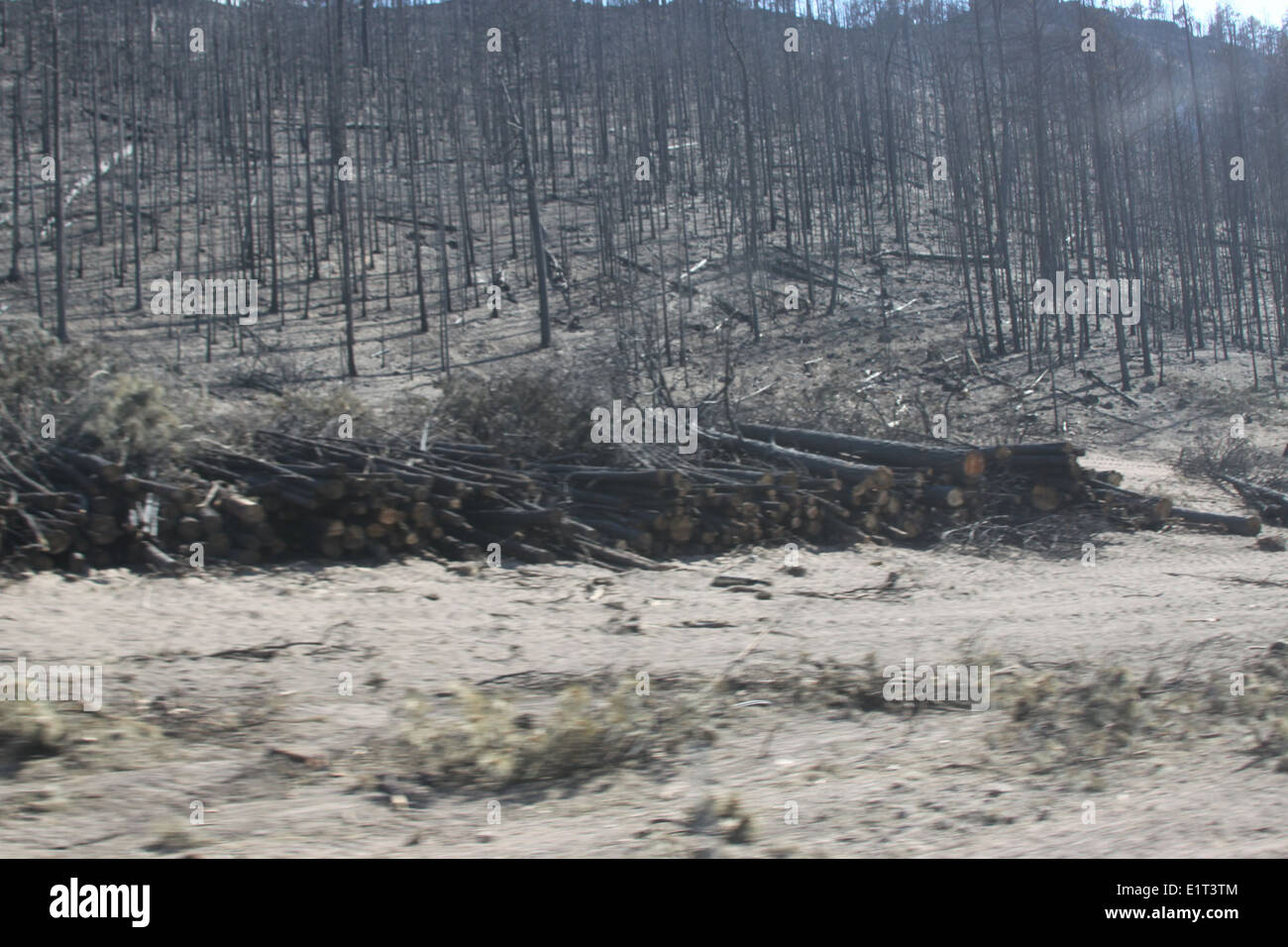 Burned area hi-res stock photography and images - Alamy