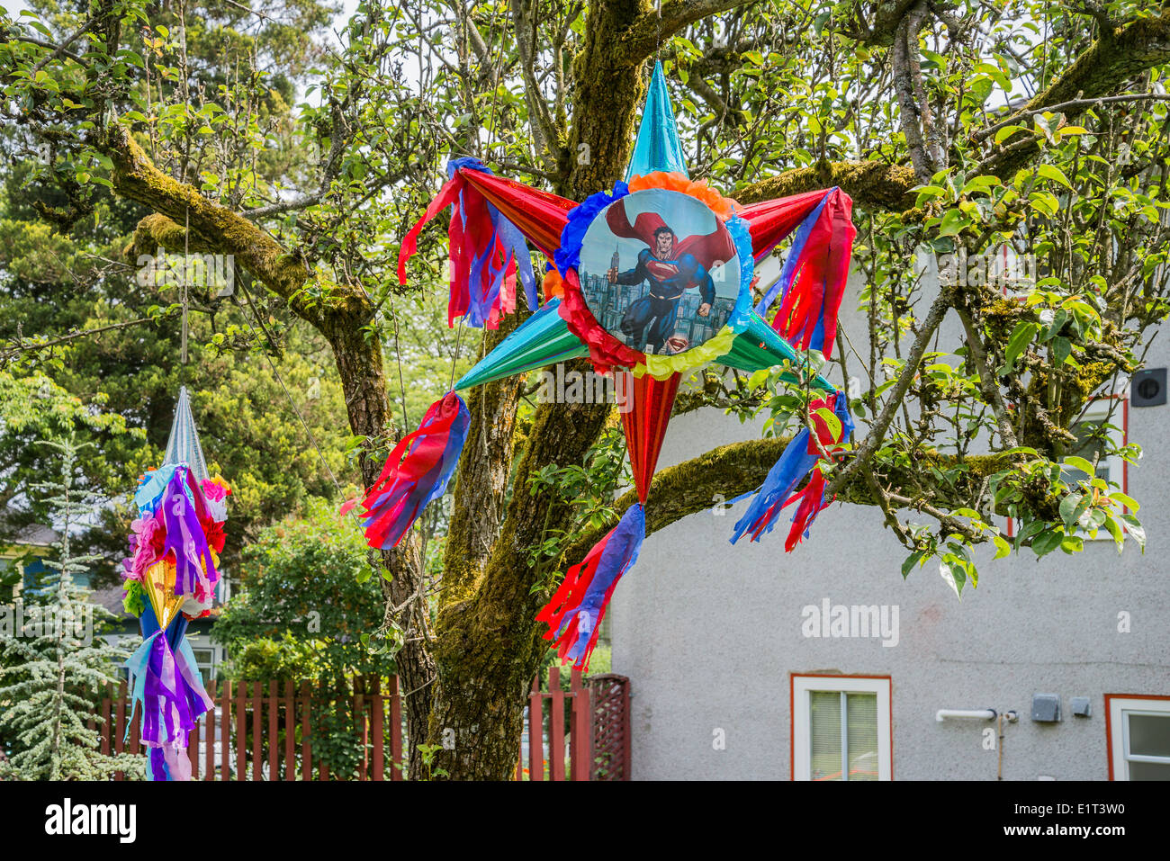 Superman decoration in tree Stock Photo - Alamy