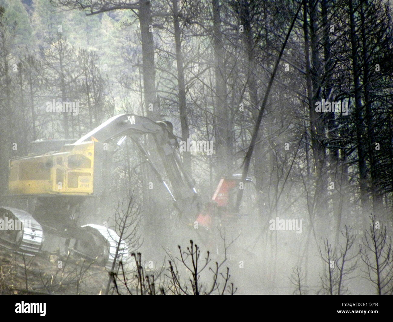 Feller buncher burned hi-res stock photography and images - Alamy