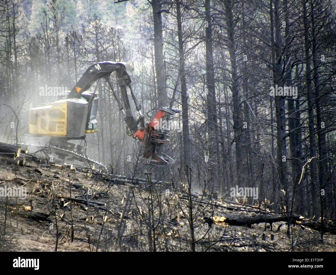 Feller buncher burned hi-res stock photography and images - Alamy