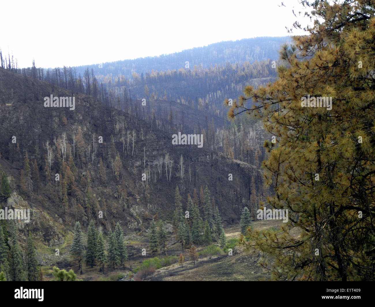 Three forks river hi-res stock photography and images - Alamy