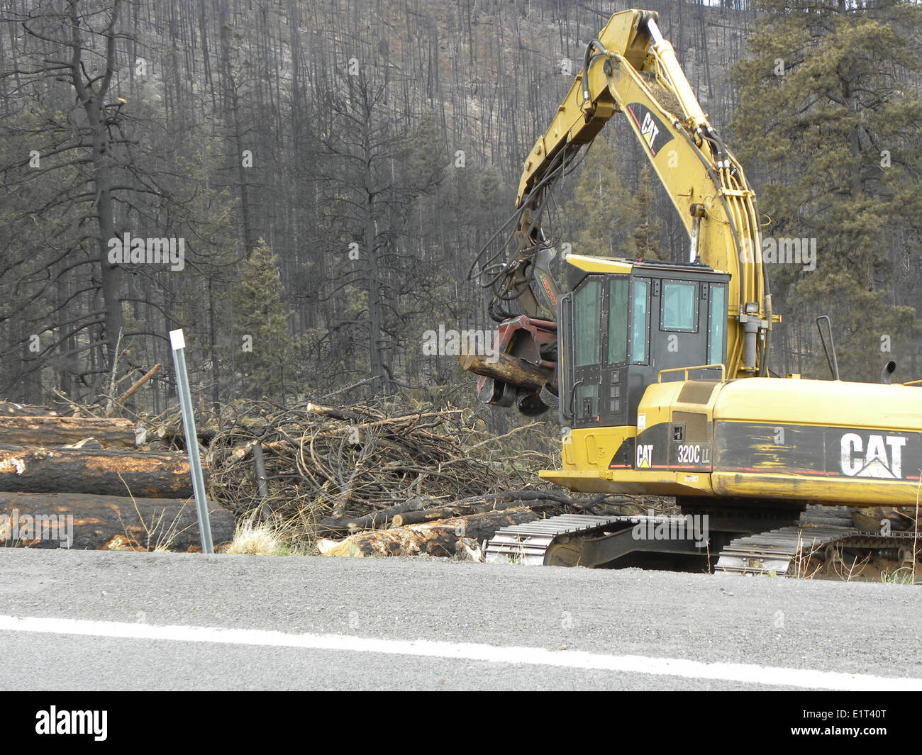 Removal of fire hazard hi-res stock photography and images - Alamy