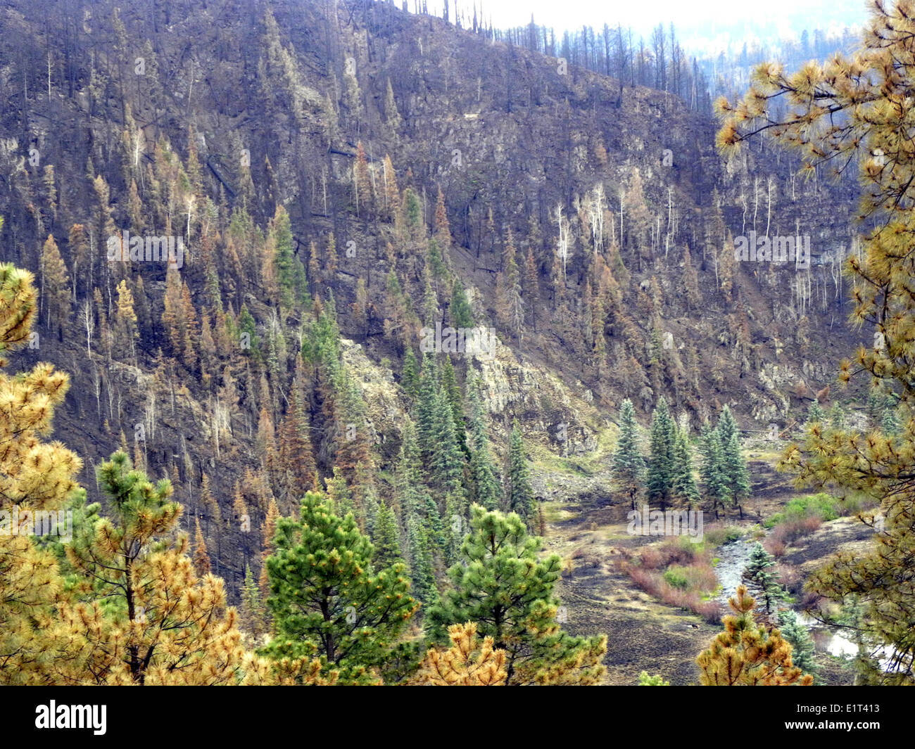 Three forks river hi-res stock photography and images - Alamy