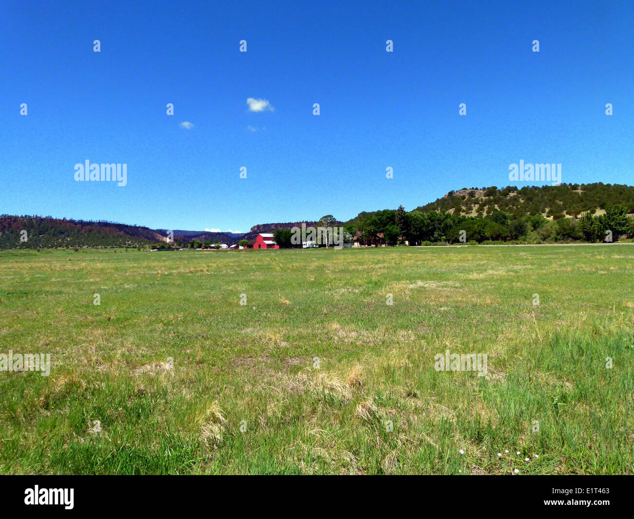 Sipe hi-res stock photography and images - Alamy