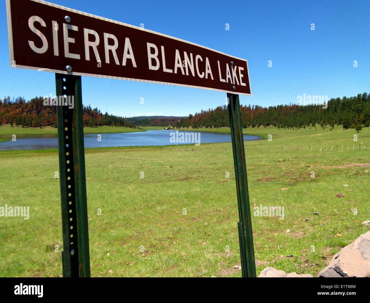 The 2011 Wallow Fire burned significant portions of the Apache ...