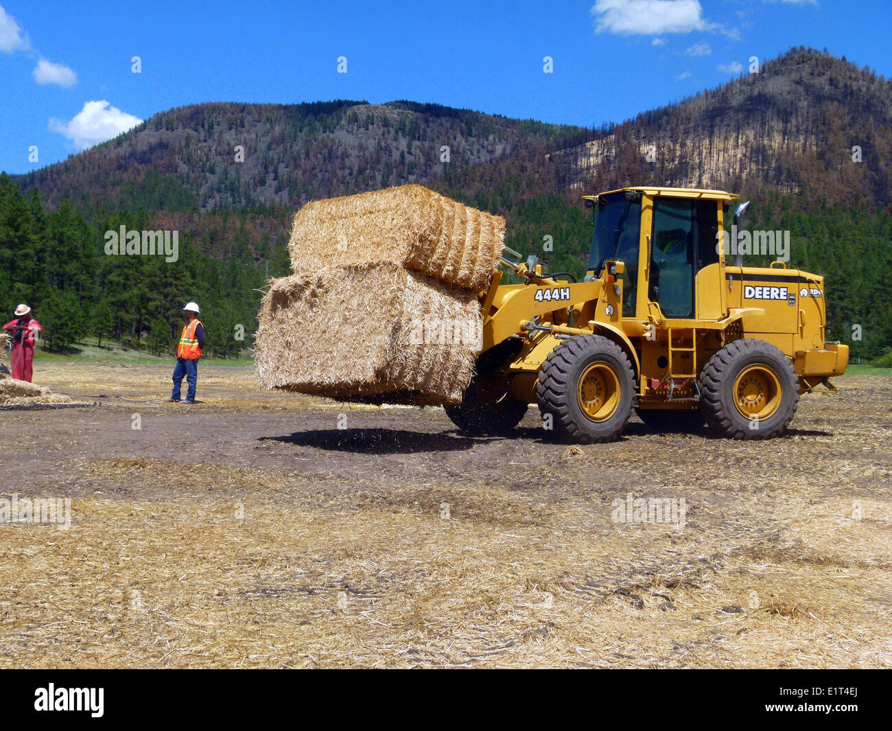 Loading the net Stock Photo - Alamy
