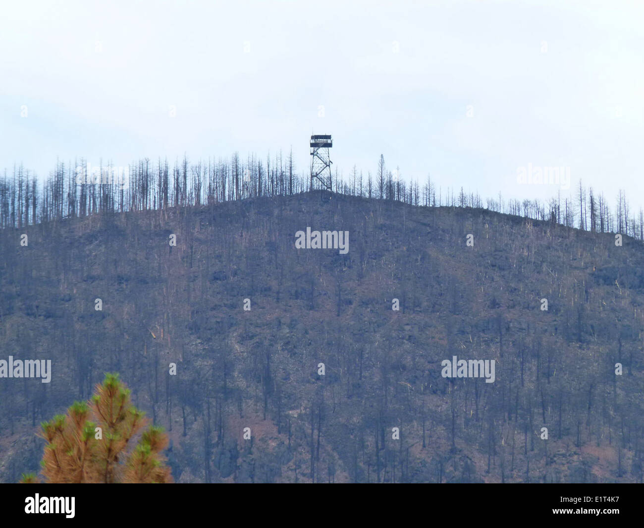 The Escudilla Lookout in Apache Sitgreaves National Forest captured the ...