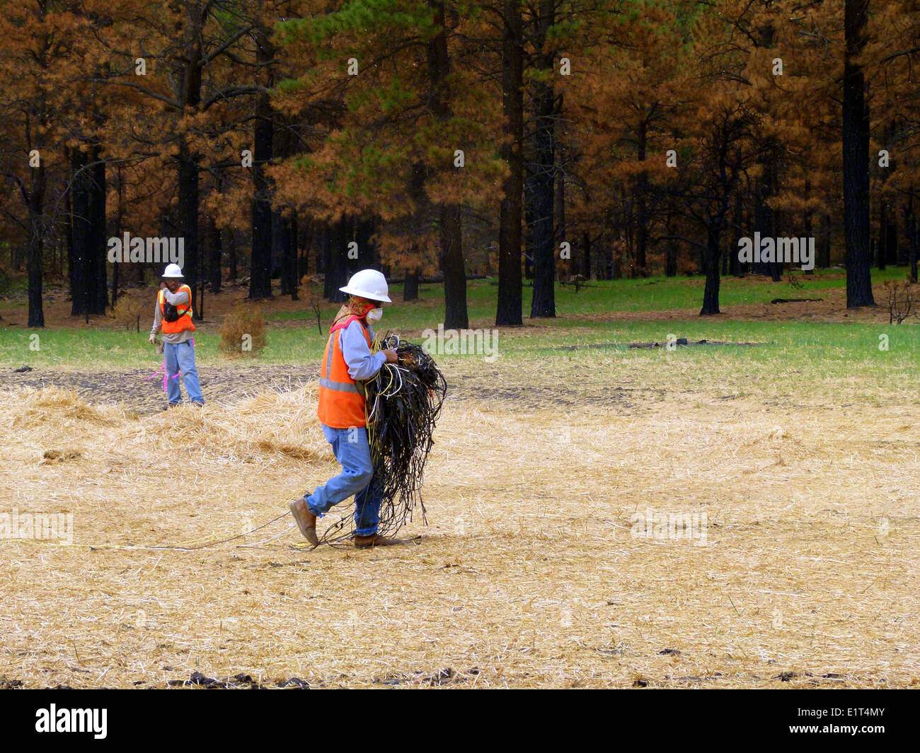 Ground crew members worked tirelessly during the 2011 Wallow Fire in ...