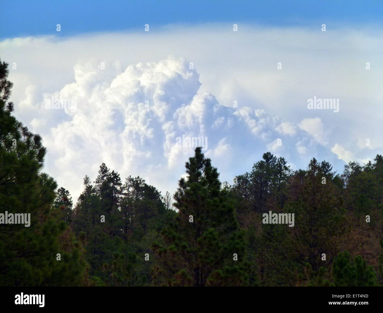 Forest service building hi-res stock photography and images - Alamy