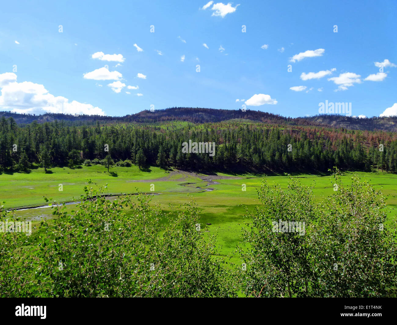 The outflow from a river reservoir in Apache-Sitgreaves National Forest ...