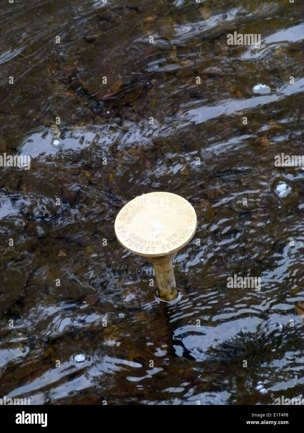 A boundary marker stands at the East Fork of the Greer area in the ...