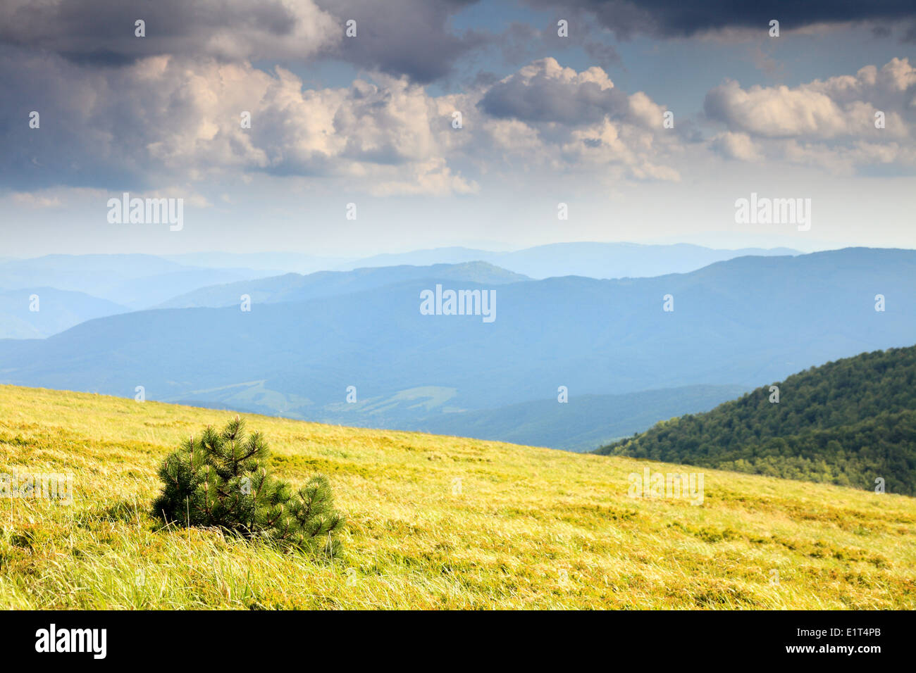 Nature and environment. Fields and hills. Mountain landscape in the ...