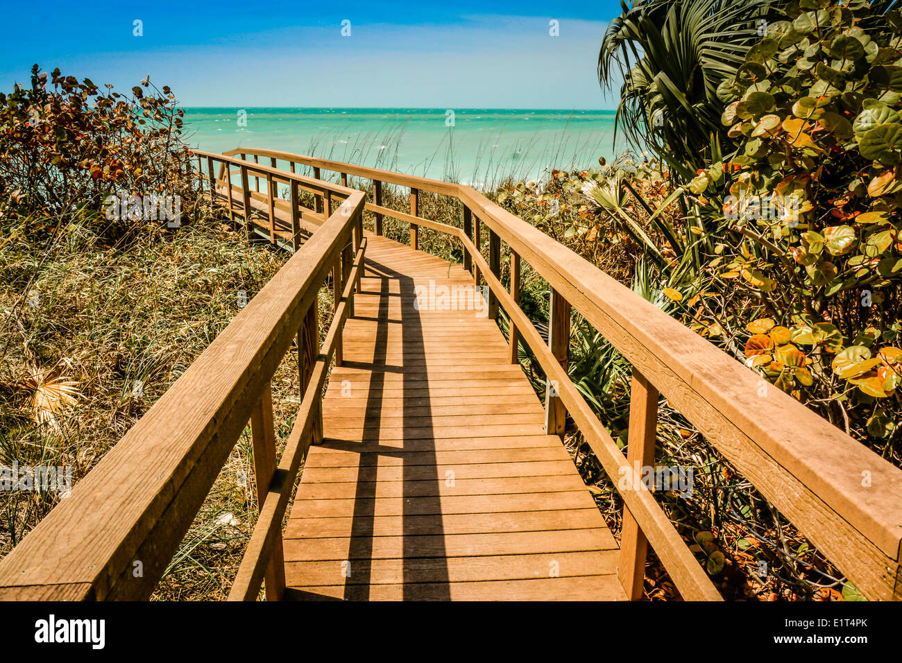 Walkway and tropical plants hi-res stock photography and images - Alamy