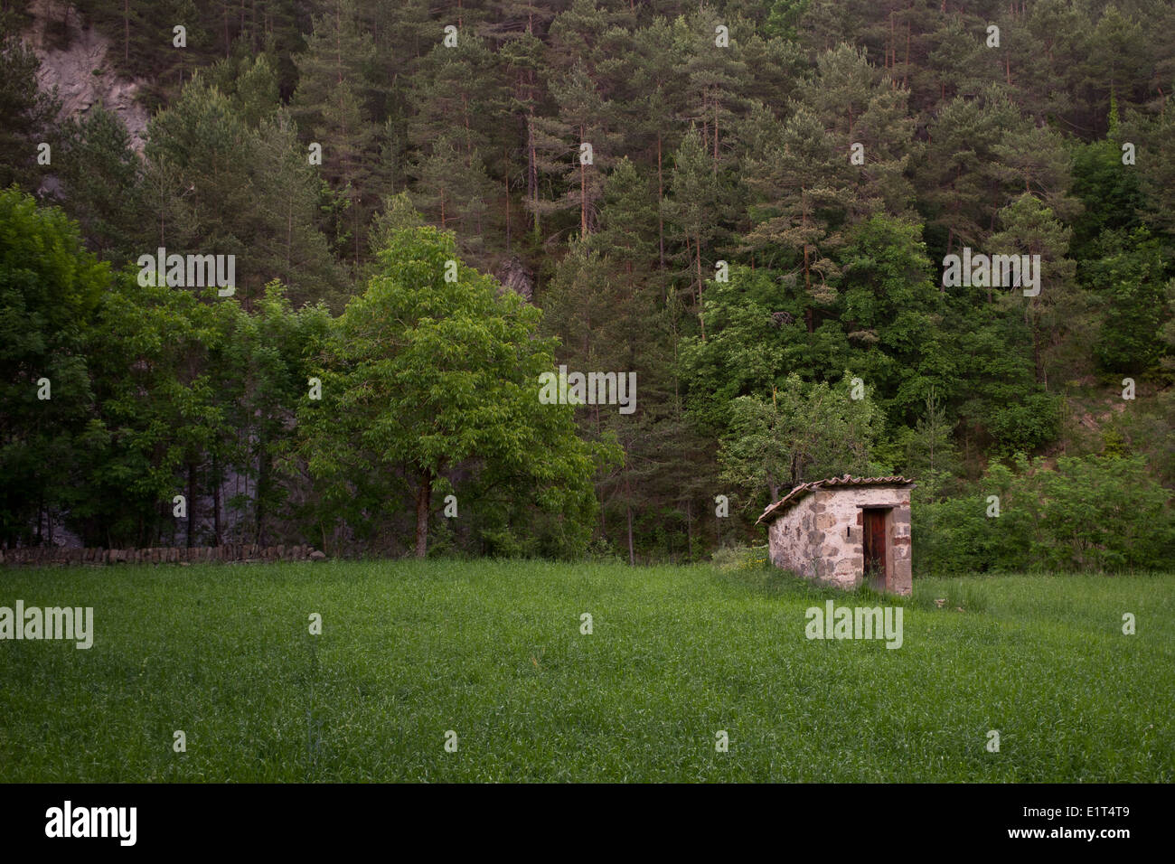 Middle cottage hi-res stock photography and images - Alamy