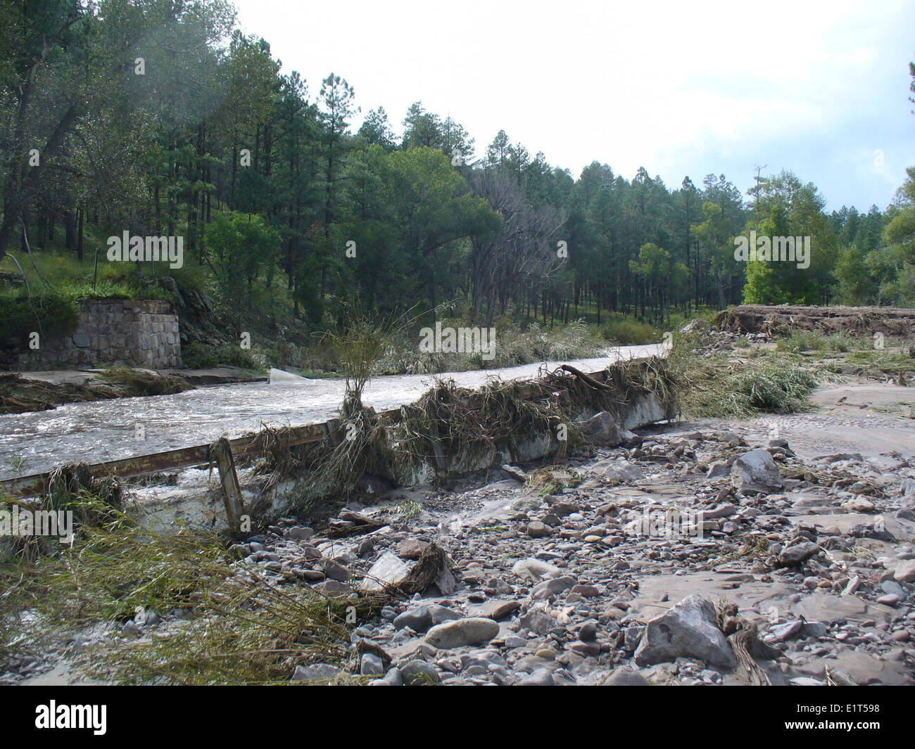 Monsoon flooding in arid regions can cause significant environmental ...