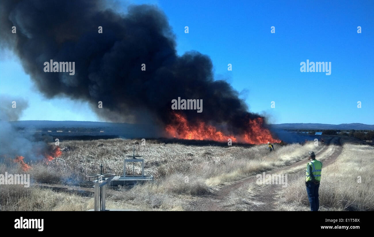 Pintail Lake in the Lakeside Ranger District was treated with a ...