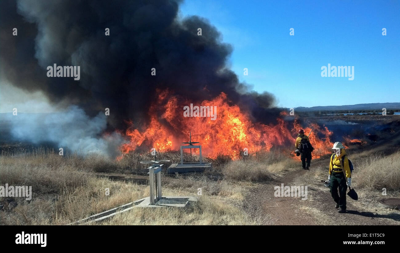 The Lakeside Ranger District conducted a broadcast burn near Pintail ...