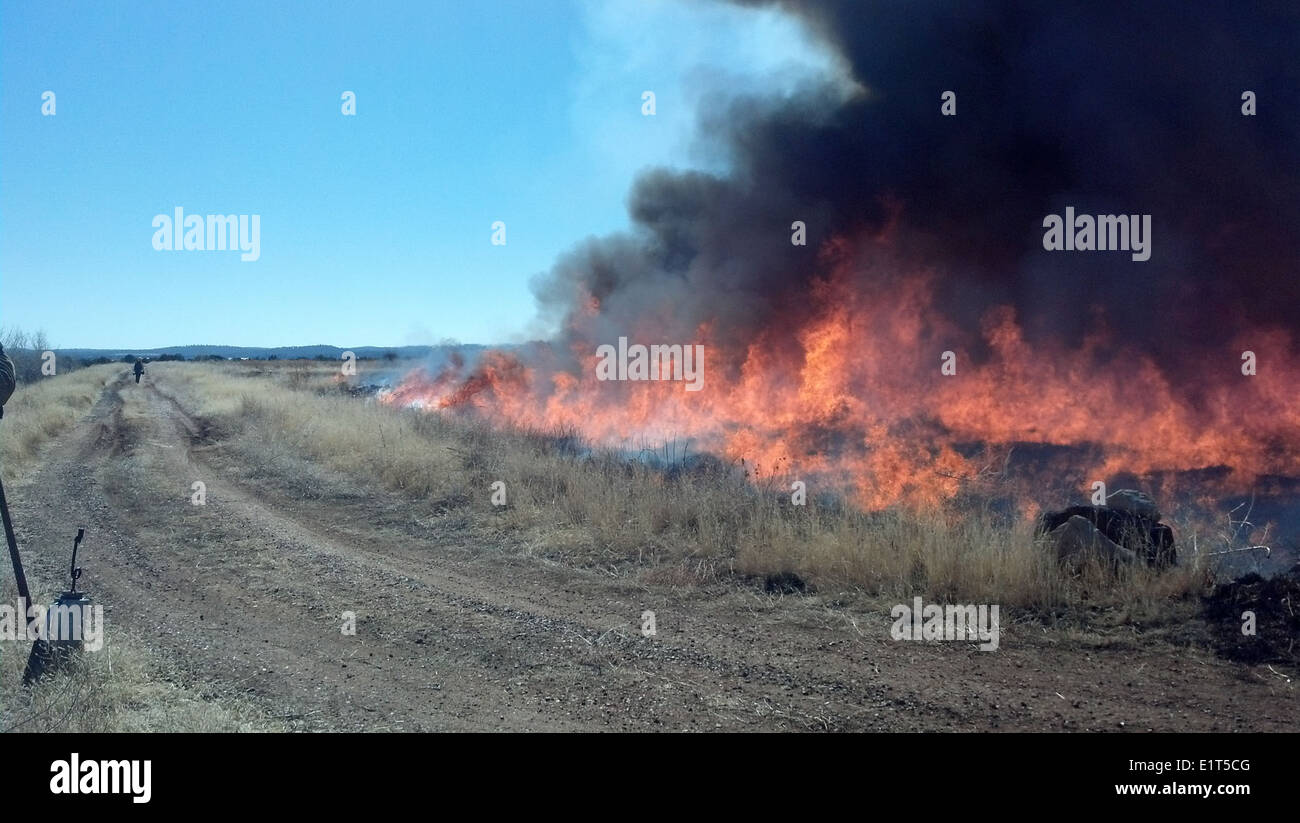 The Lakeside Ranger District conducted a controlled broadcast burn at ...