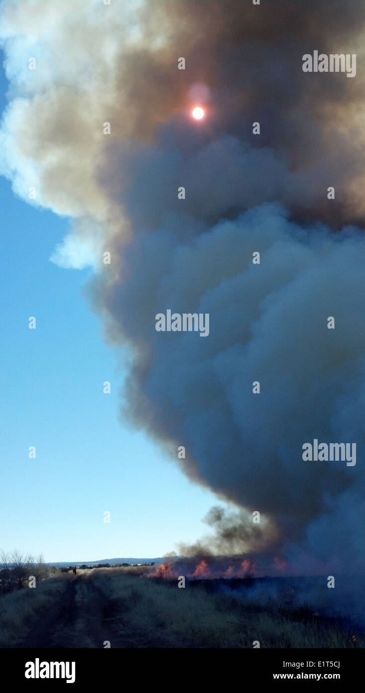 The Pintail Lake Broadcast Burn in the Lakeside Ranger District is a ...