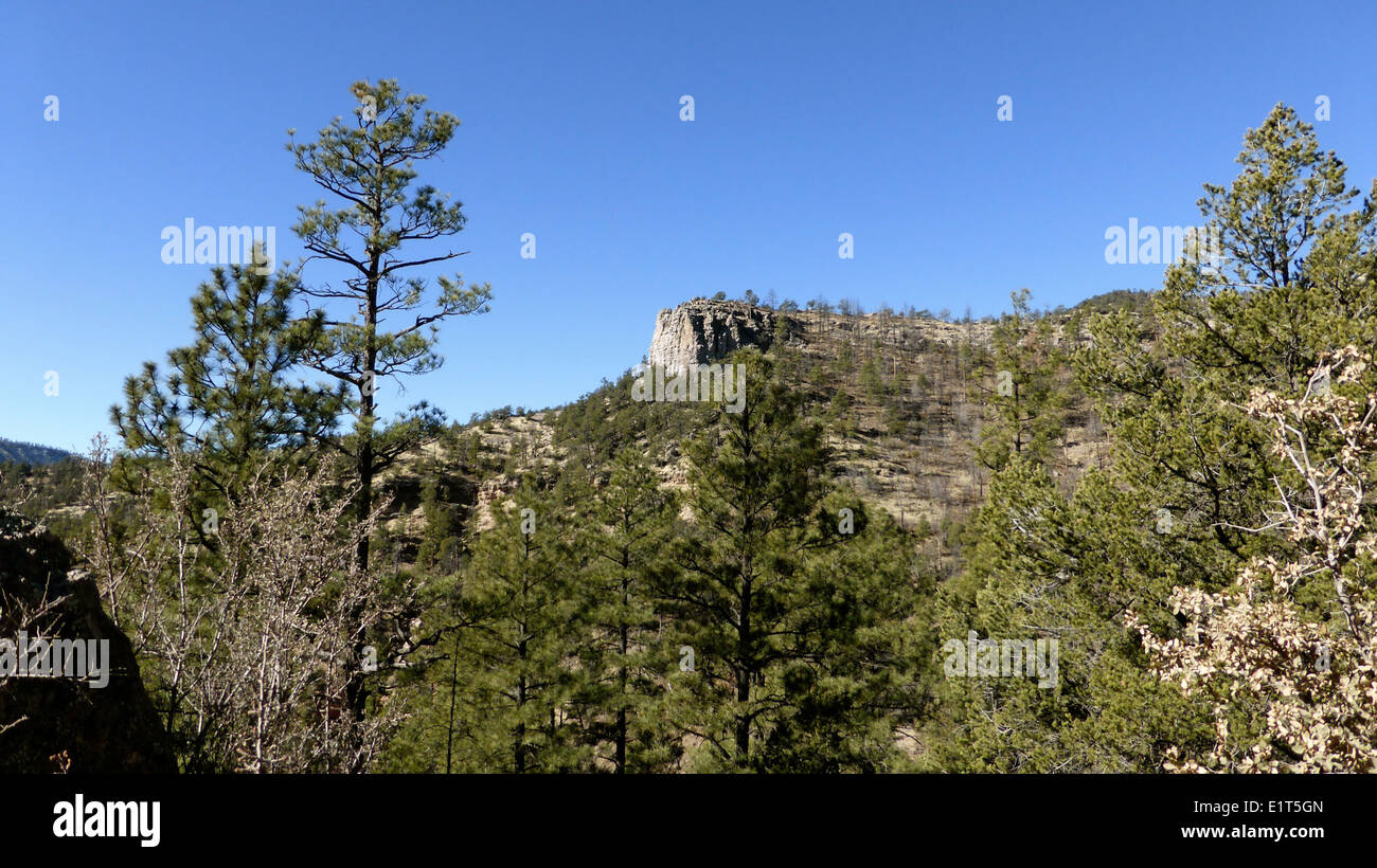 The Blue Range Primitive Area in Arizona is a protected wilderness area ...