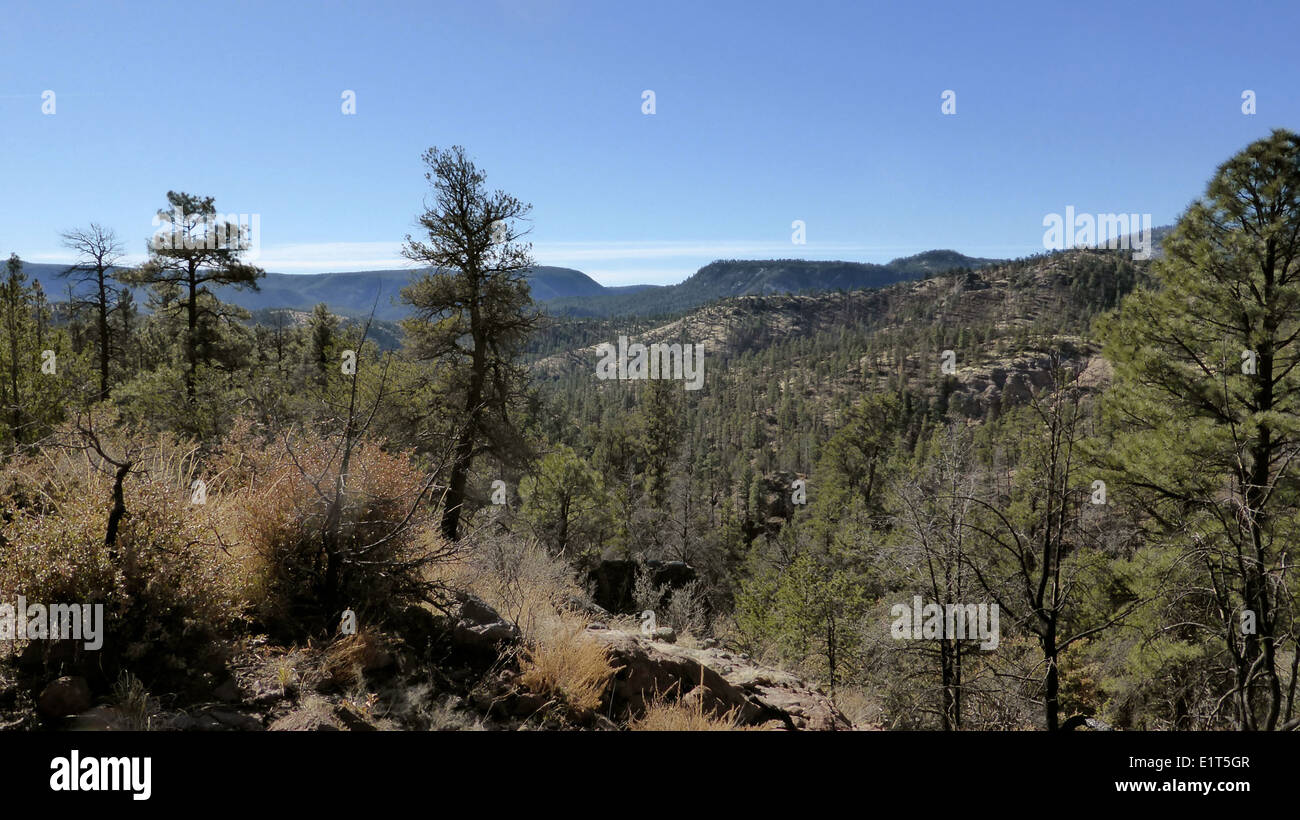 The Blue Range Primitive Area, located in the Apache-Sitgreaves ...