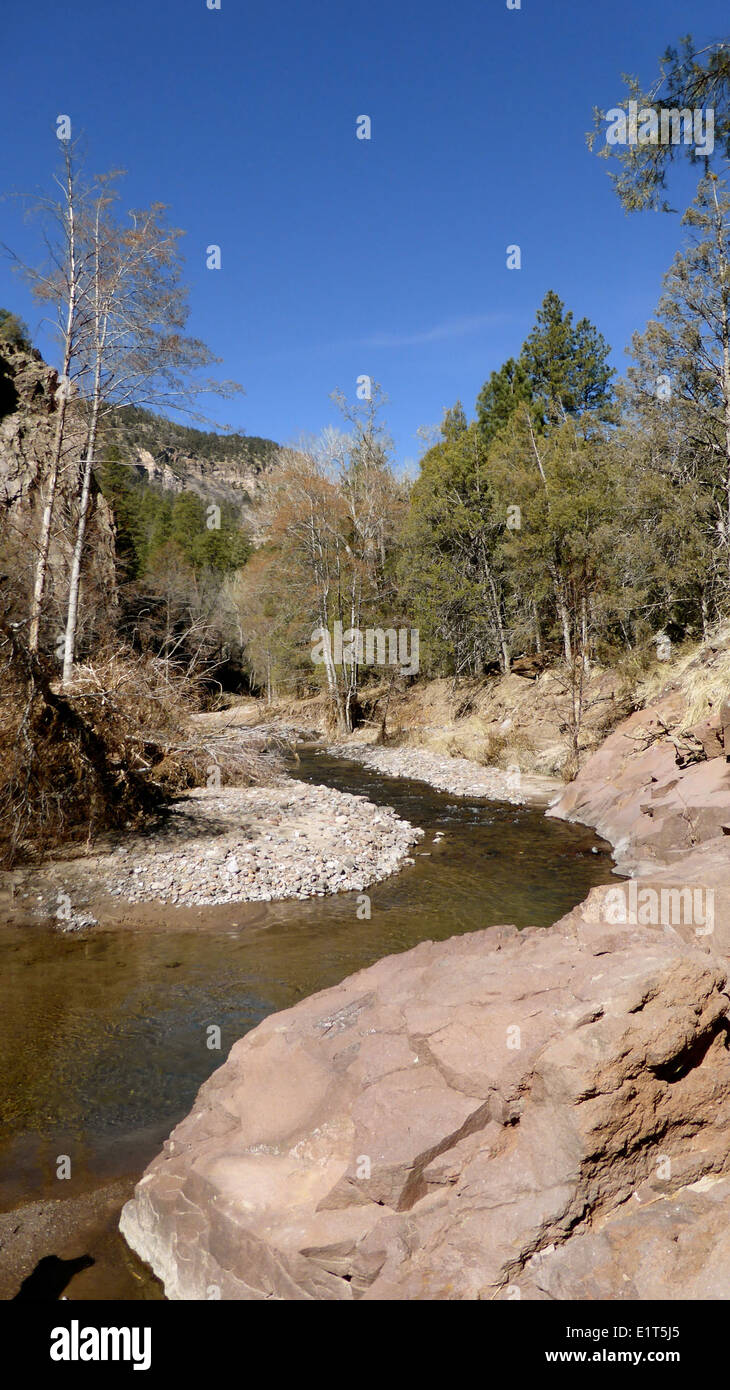 Southwest u s forest hi-res stock photography and images - Alamy