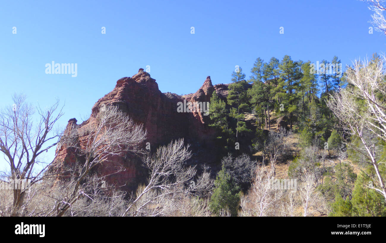 Habitat remote mountain and forest areas hi-res stock photography and ...