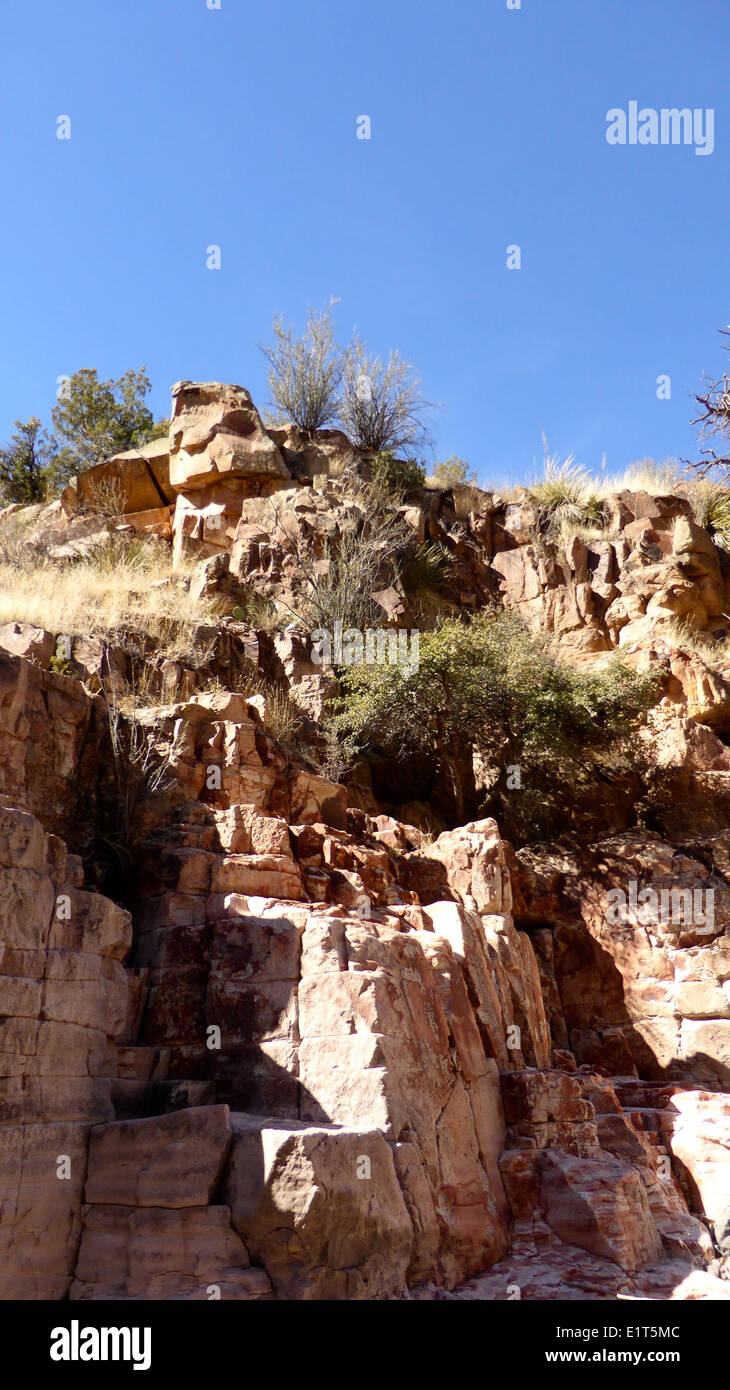 The Blue Range Primitive Area is a designated wilderness area known for ...