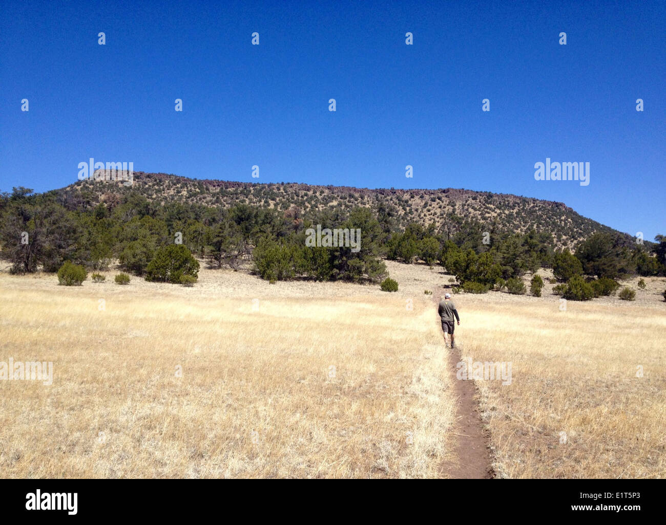 The Flattop Trail offers a challenging hike with panoramic views of the ...