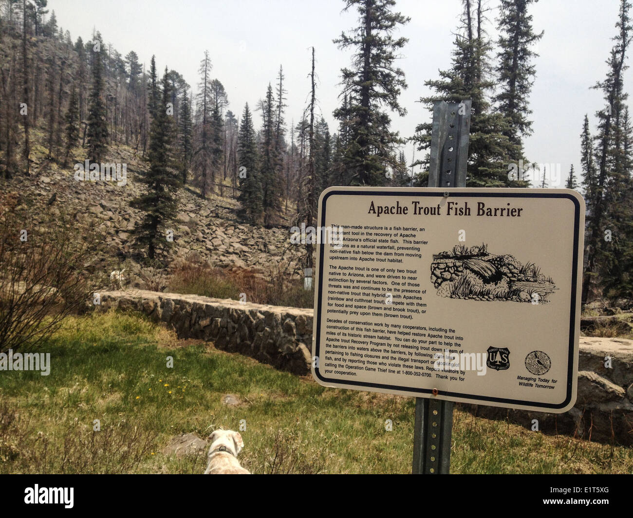 apache barrier sign Stock Photo - Alamy