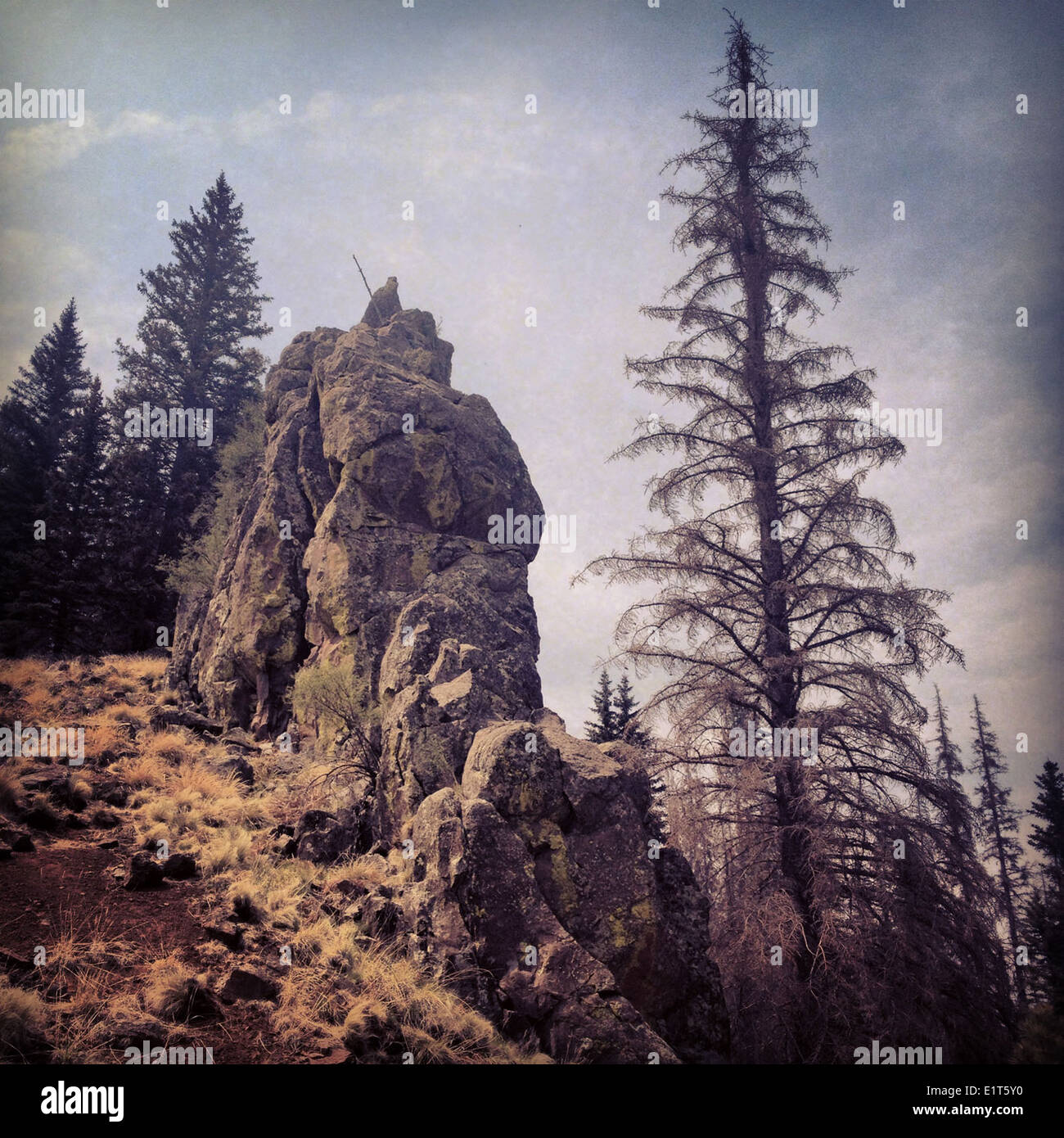 The Thompson Trail offers visitors a scenic route through diverse ...