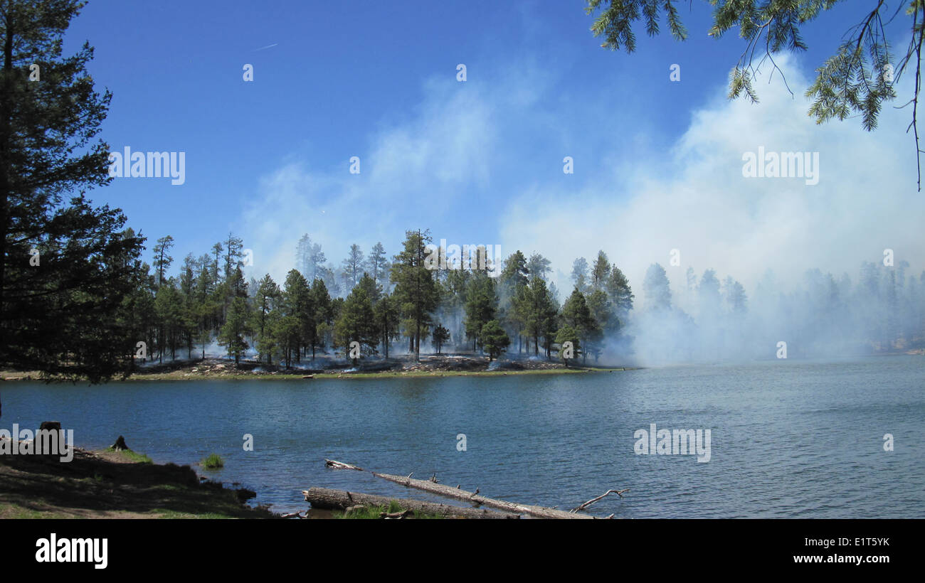 The Woods Canyon Fire occurred in the Apache-Sitgreaves National Forest ...
