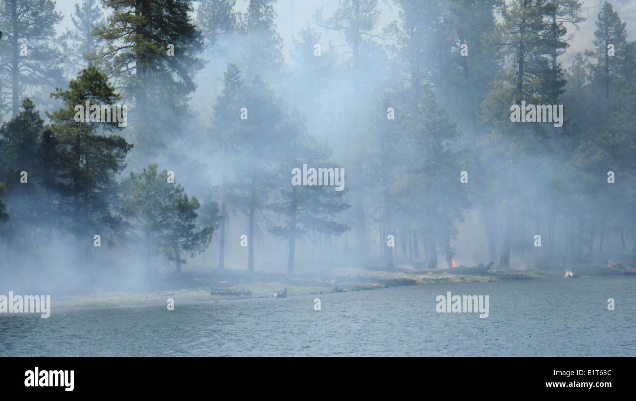 The Woods Canyon Fire in Apache-Sitgreaves National Forests is a ...